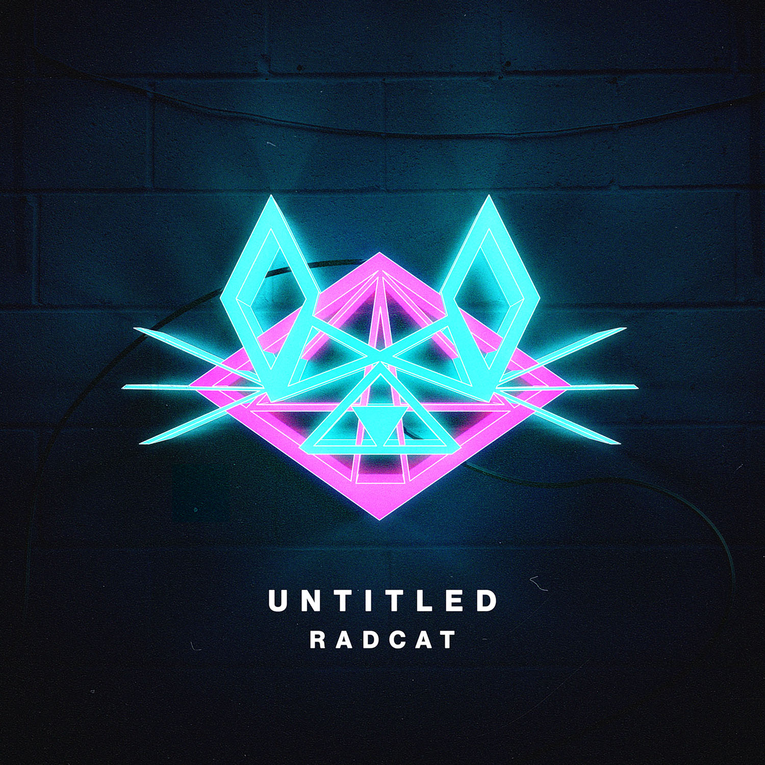 Listen: Rad Cat - 'hater' | News | Clash Magazine