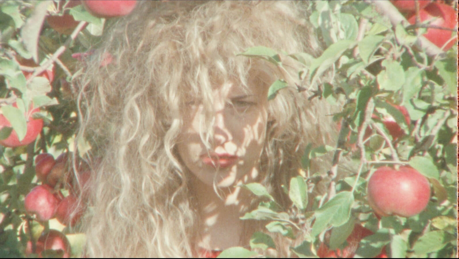 Taraka On The Nature Of Self-Portraits | Features | Clash Magazine