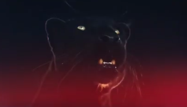 The Weeknd Shares 'Mania' Teaser | News | Clash Magazine